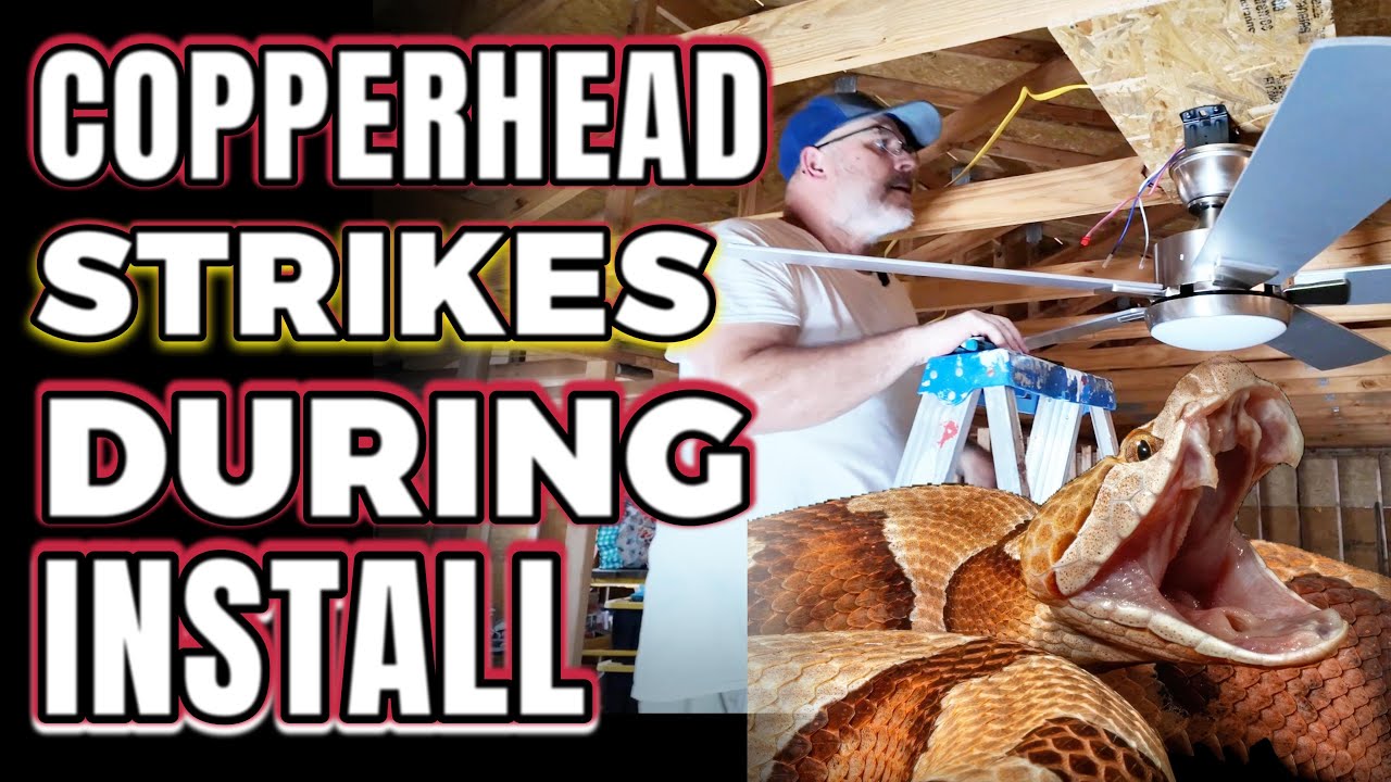 Shocking Discovery During Ceiling Fan Install Running Power Upstairs |Copperhead Bite |BUILDING ...