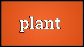 Plant Meaning