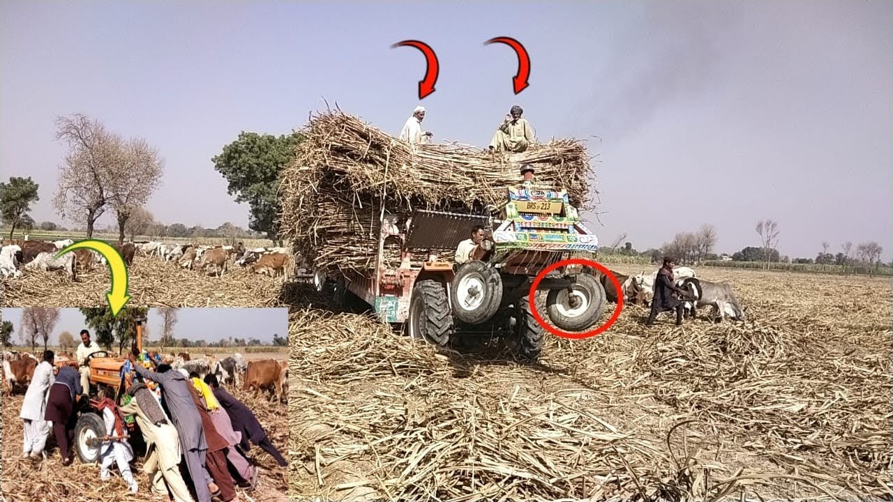 New Holland 480 tractor pulling sugar cane trolley | pind Punjab ...
