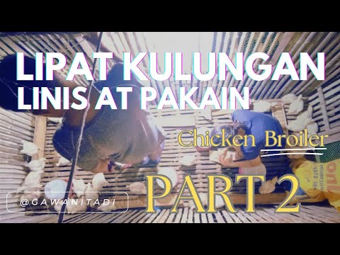 Kwentuhan at Paano kami maglinis ng kulungan ng aming Broiler chicken ...