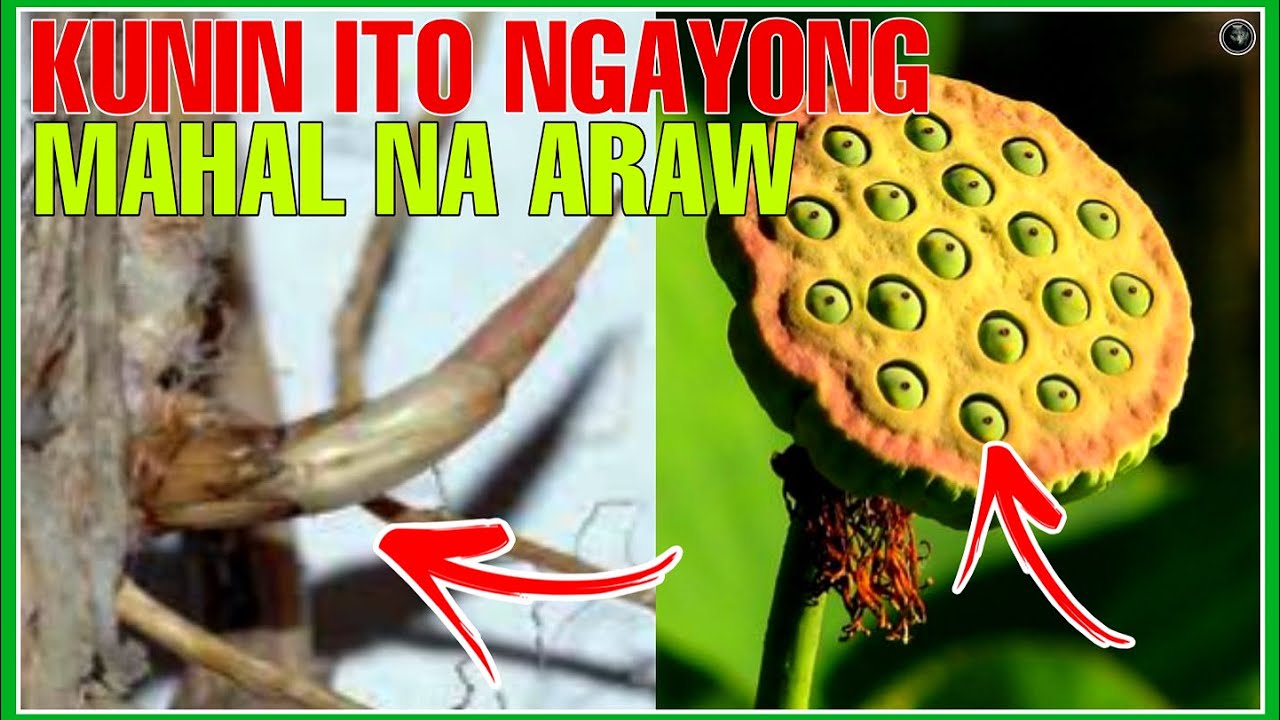 KUNIN MO ITO NGAYONG MAHAL NA ARAW ISANG MABISANG AGIMAT AT ANTING ANTING | BHES TV - YouTube