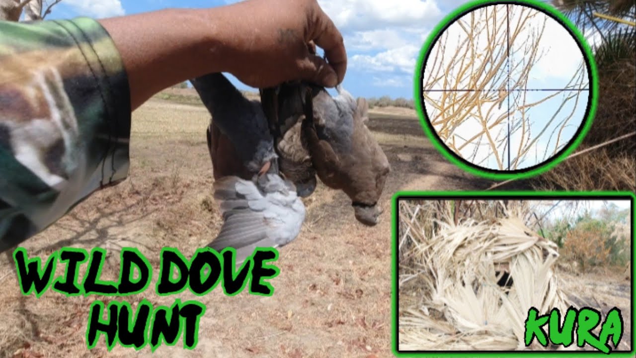 ADVENTURE HUNTING PEST CONTROL - YouTube