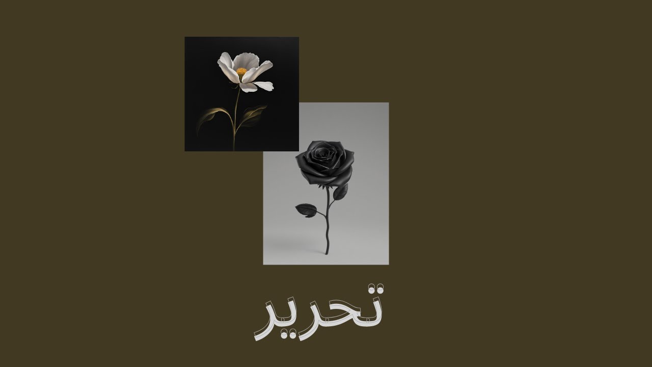 Tehreer (تحریر ) - From The Ep - TOHFA - Prod. MA ( Official Audio ...