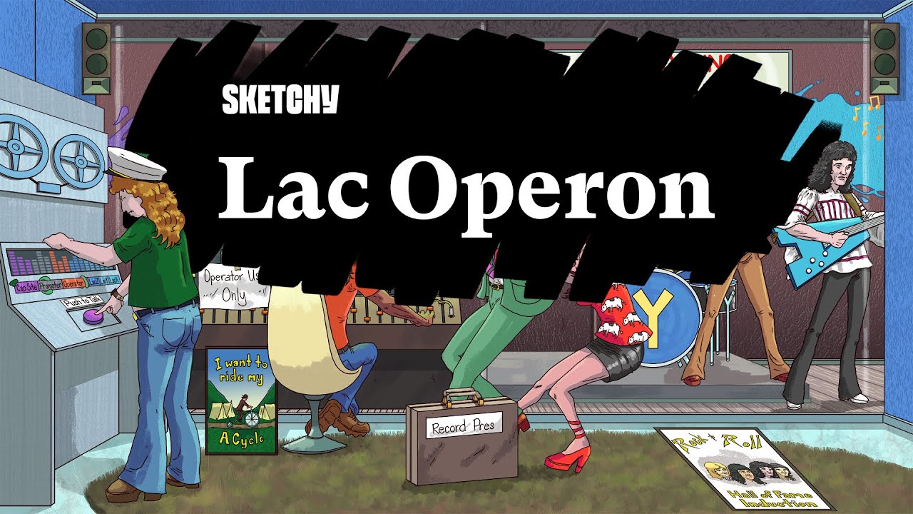 Lac Operon Animation
