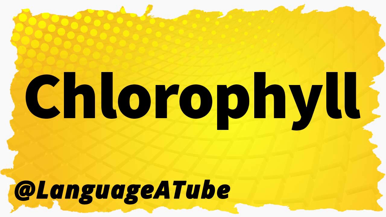 Chlorophyll Pronunciation ⚡️ How To Pronounce Chlorophyll! - YouTube