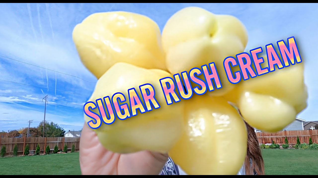 PEPPER PRINCESS | SUGAR RUSH CREAM PEPPER REVIEW - YouTube