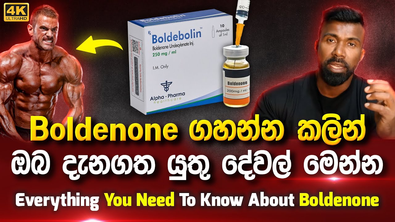 Boldenone ගහන්න කලින් ඔබ දැනගත යුතු දේවල් මෙන්න | About Boldenone Steroids! | Body Building ...