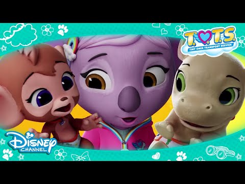 🤗🎵 SEVGİ ŞARKISI 😍💖| Tontişleri Taşıma Servisi (T.O.T.S.) | @DisneyPlusTR