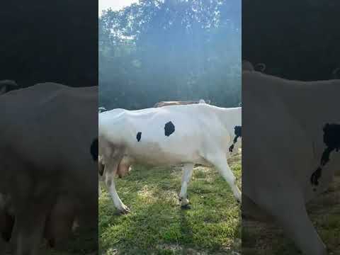 Güzeller içinden sizleri seçtim 💌👉 #music #remix #gezilecekyerler #keşfet #gezelimgörelim