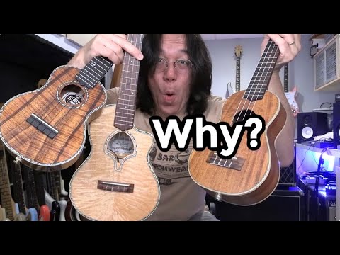 Super Fun Ukulele Lesson - YouTube