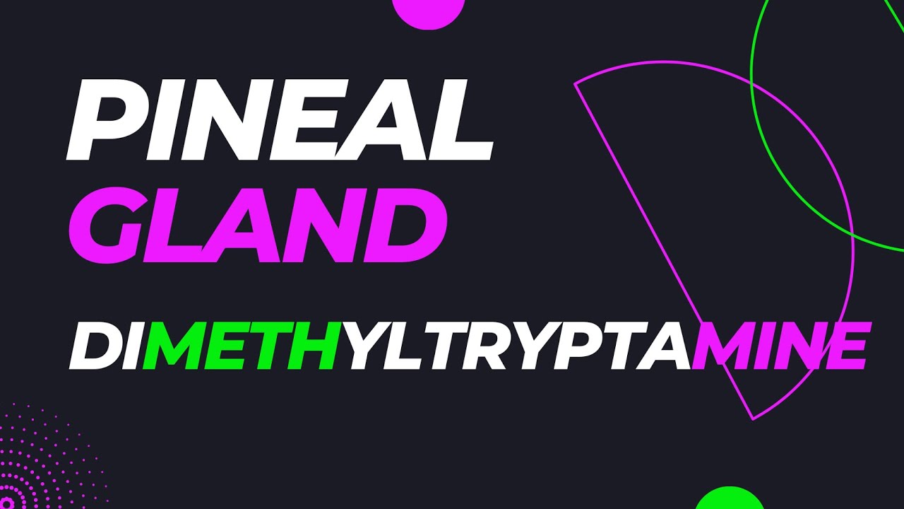 Your Pineal Gland produces dimethyltryptamine DMT naturally - YouTube
