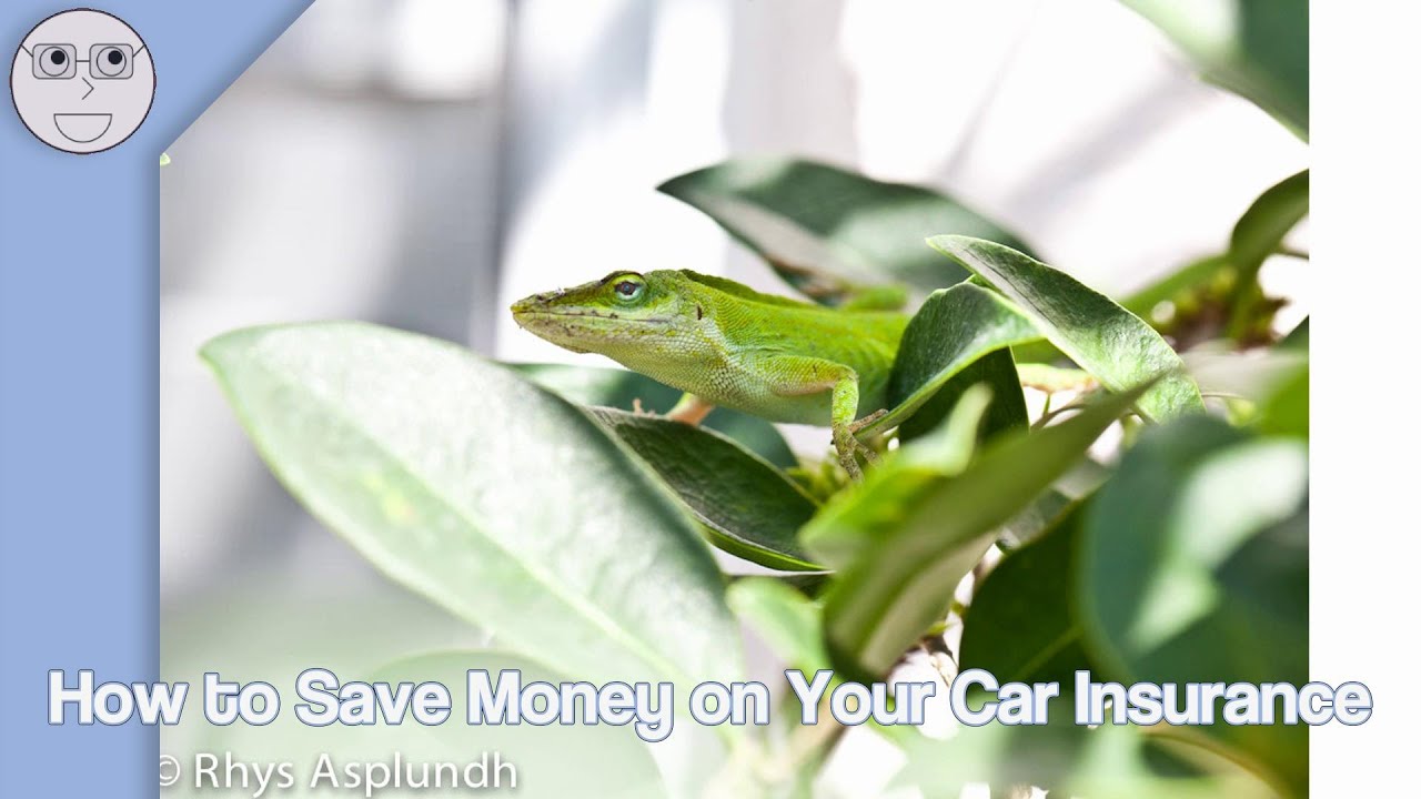 How to Save Money on Your Car Insurance - YouTube