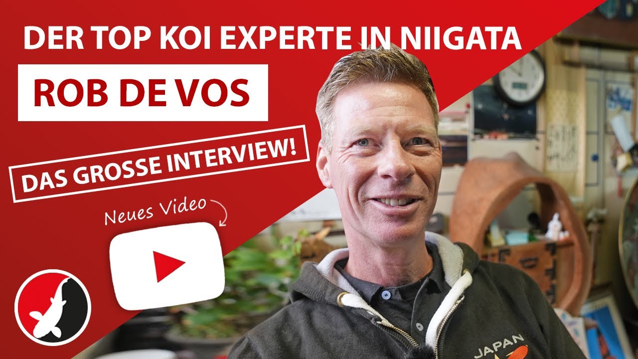 Der Top Koi Experte in Niigata (Japan) Rob de Vos - das grosse ...
