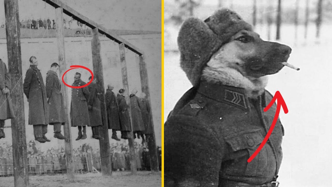 Rare World War II Photos That Reveal the True Face of War #ww2 - YouTube