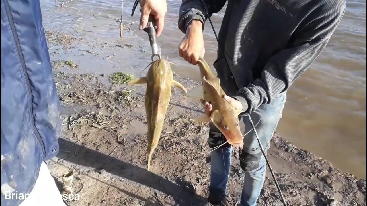 Pesca Rapida De ARMADO y MANDURE - YouTube