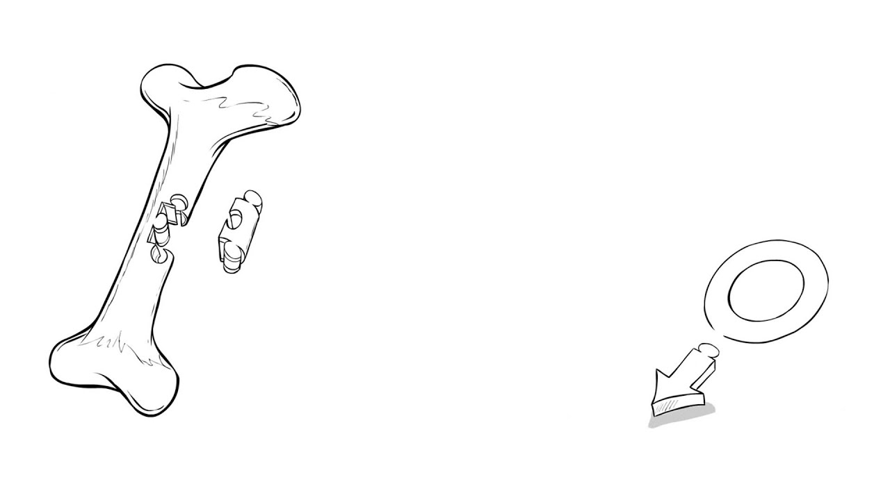 Andullation explication - YouTube