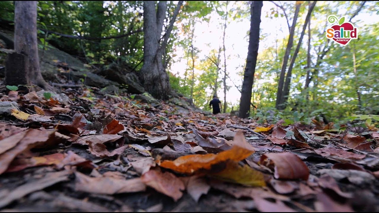 How to create forest trails that enable walking, biking, and ...
