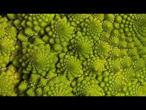 LIVE IMPRO#8 - YouTube