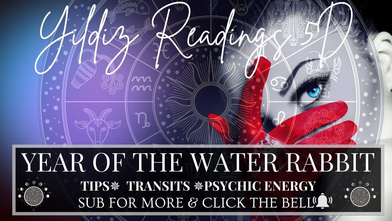 WATER RABBIT 2023 & YOUR CHINESE ZODIAC SIGNS MY PREDICTIONS FOR YOU ...