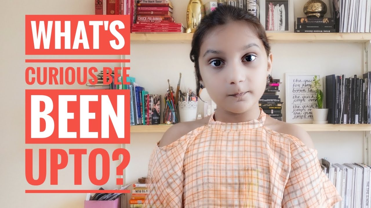 What's Curious Bee Been Up To? 🚗 | The Curious Bee - YouTube