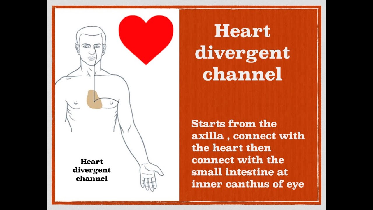 #TCM #Heart Meridian #Divergent channel -Dr Hemant Sharma -8160088512 ...