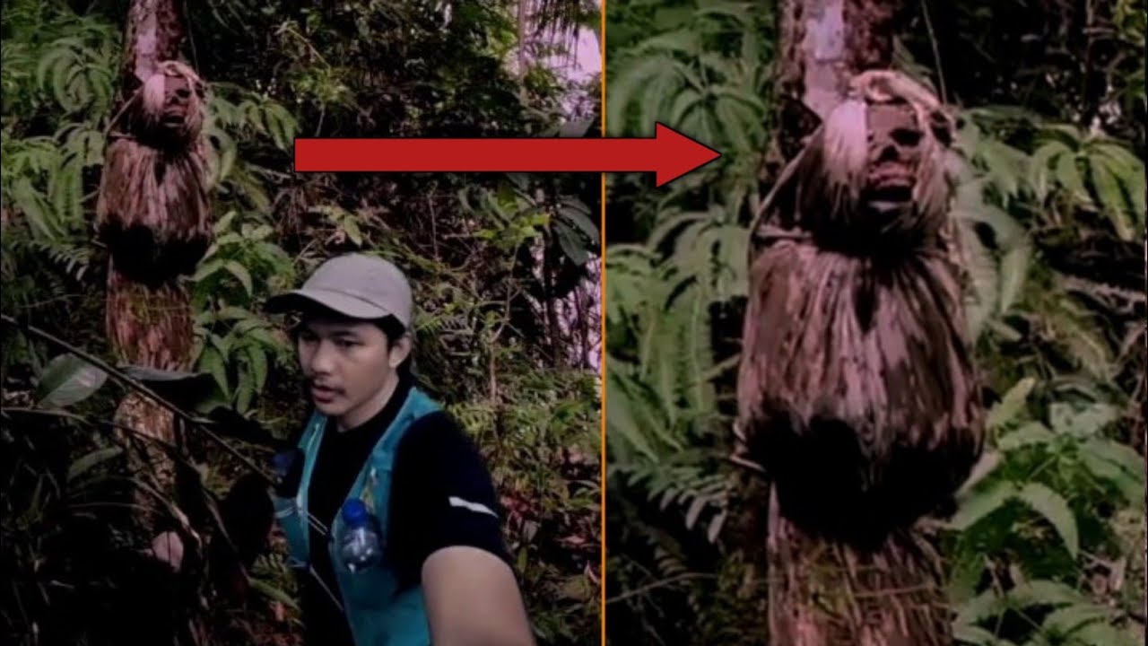 VIRAL!! Pocong Gantung Di Pohon - 5 Video seram yg merekam penampakan ...