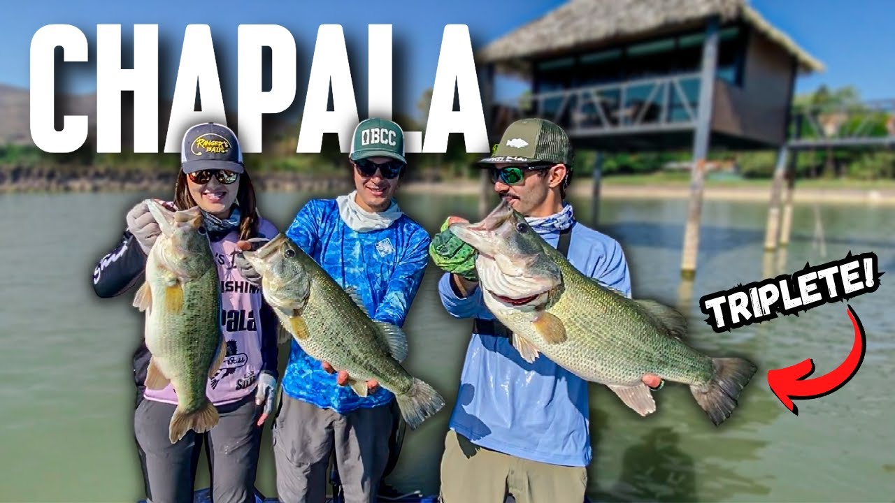 Primera Vez? Dónde y Cómo Pescar en CHAPALA // Pesca de lobina - YouTube