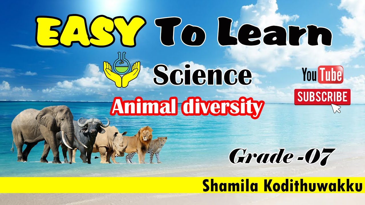 Animal diversity (Easy to learn science) - YouTube