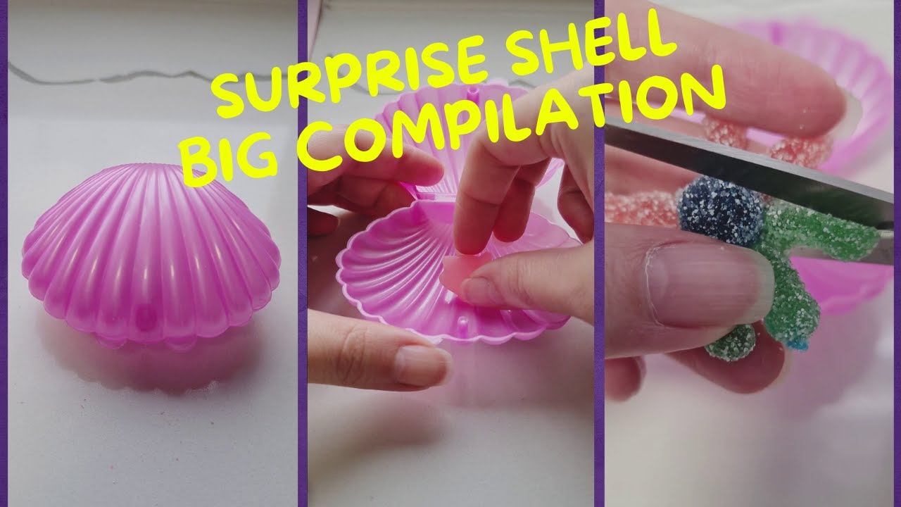 Magical Seashell Compilation: Unveiling Sweet Surprises! - YouTube
