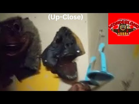 Billy bob's wonderland rock afire old mask wall (2022) Ft ...