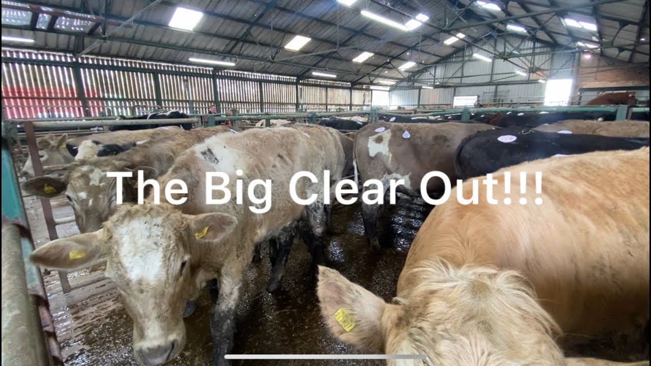 They Big Clear Out!!! Market Day!! - YouTube