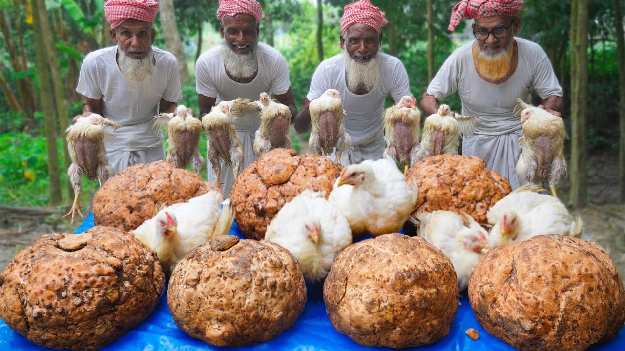 Chicken & Owl Kochu Recipe - Elephant Foot Yam Gravy Cooking with ...