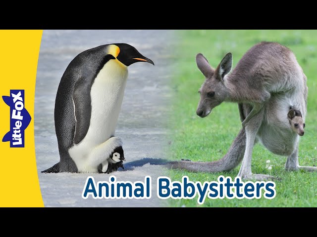 Amazing Animal Parents | Kangaroo, Emperor Penguin, Scorpion and Nile ...