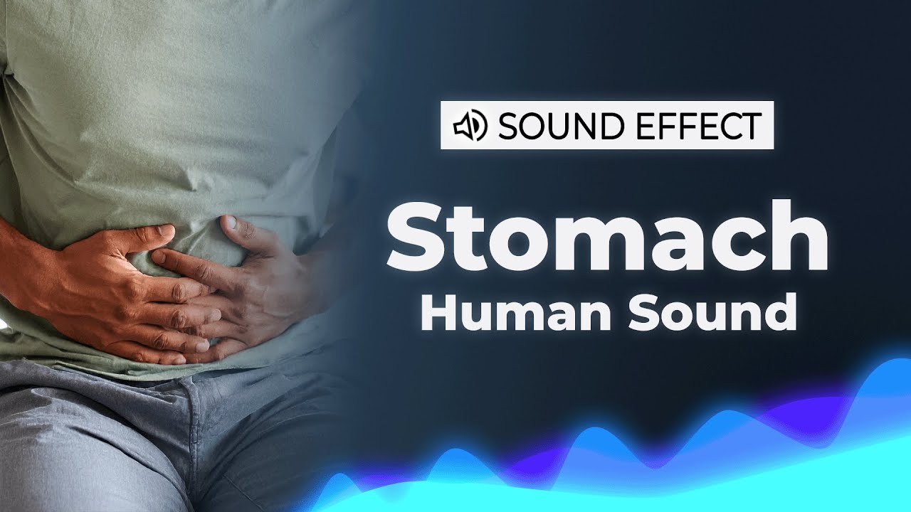 Upset Stomach Sound Effect | SFX - YouTube