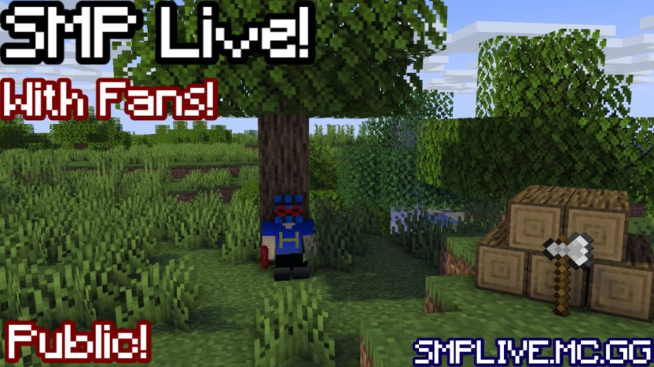 MINECRAFT SMP LIVE WITH FANS!! TTS, MEDIA, SONG REQUEST, TROLLING - YouTube