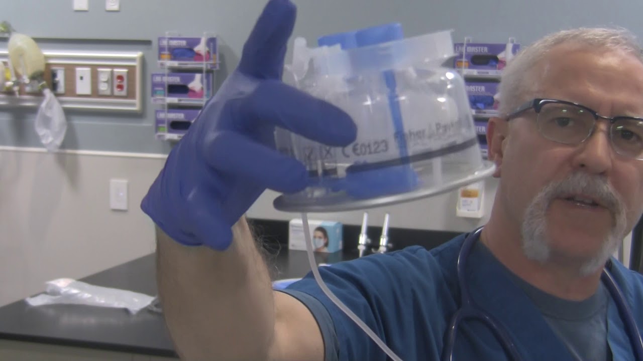 Mechanical Ventilation: Patient Circuits: Circuiting a Ventilator: Part ...