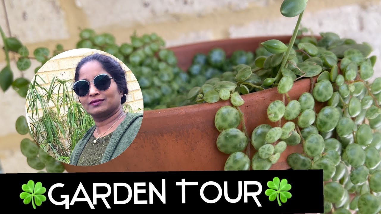 GARDEN TOUR / COOKING OBBATTU ( PARUPPU POLI ) || TAMIL VLOG ...