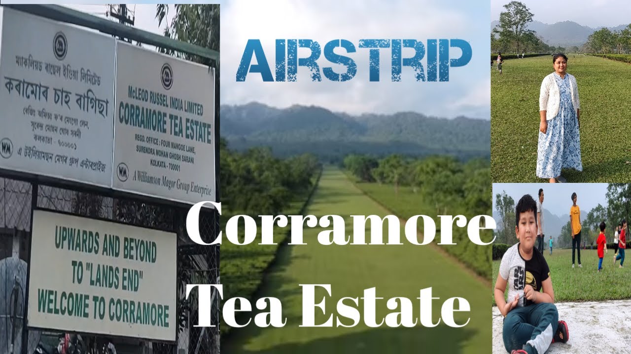 Corramore Tea Estate - A Brief History | Airstrip #udalguri #bodoland # ...