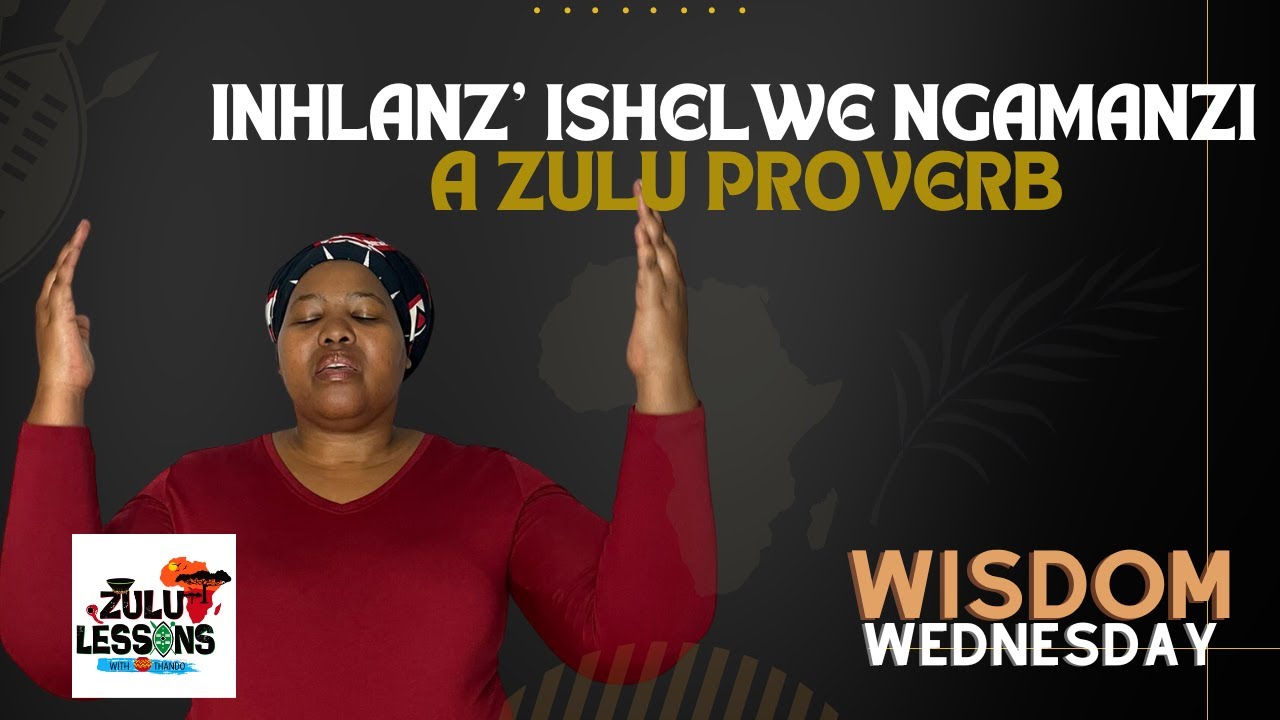 What 'Inhlanzi Ishelwe Ngamanzi' Really Means: Understanding Zulu ...
