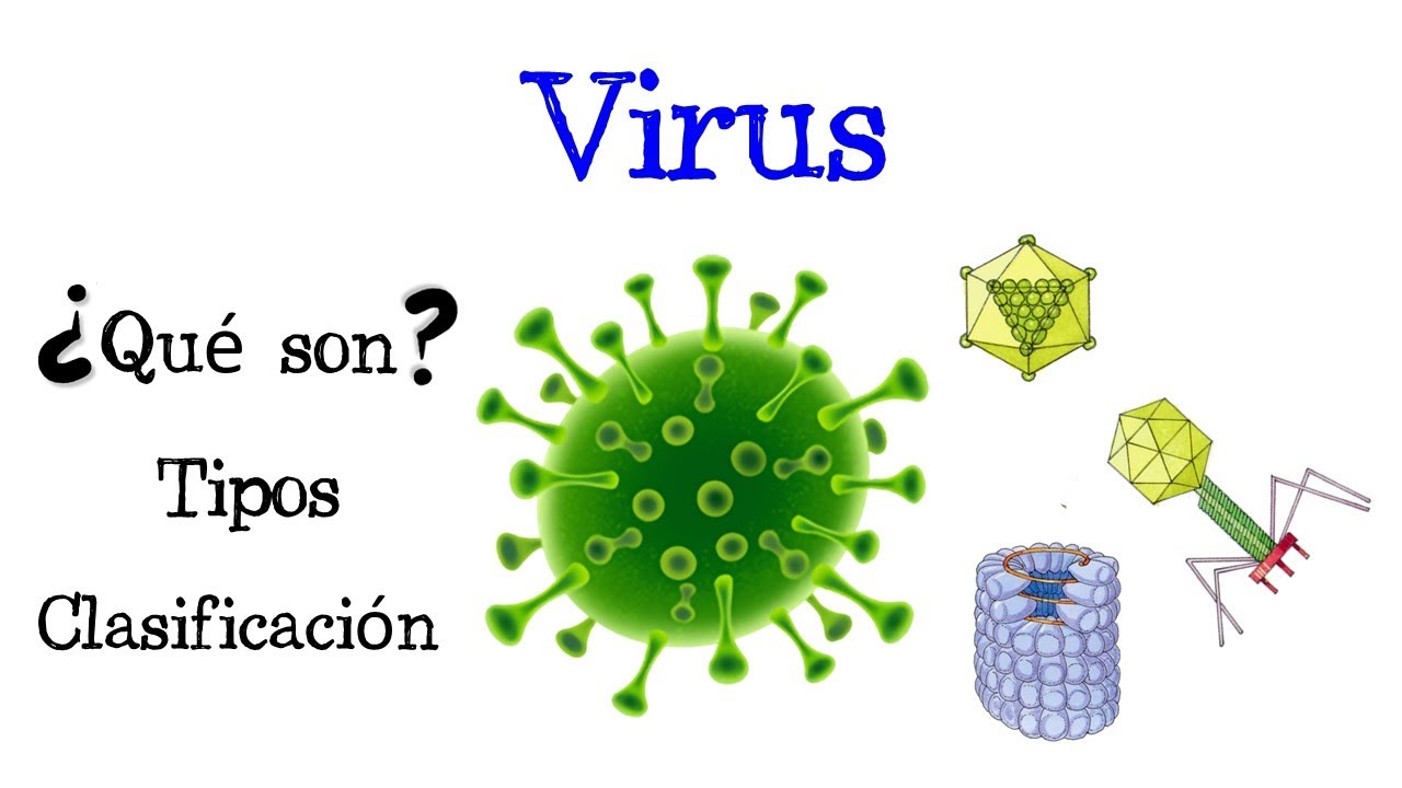 🦠 ¿Qué son los Virus? 🦠 Tipos y Clasificación 🦠 [Fácil y Rápido ...