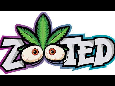ZOOTED#2 - YouTube