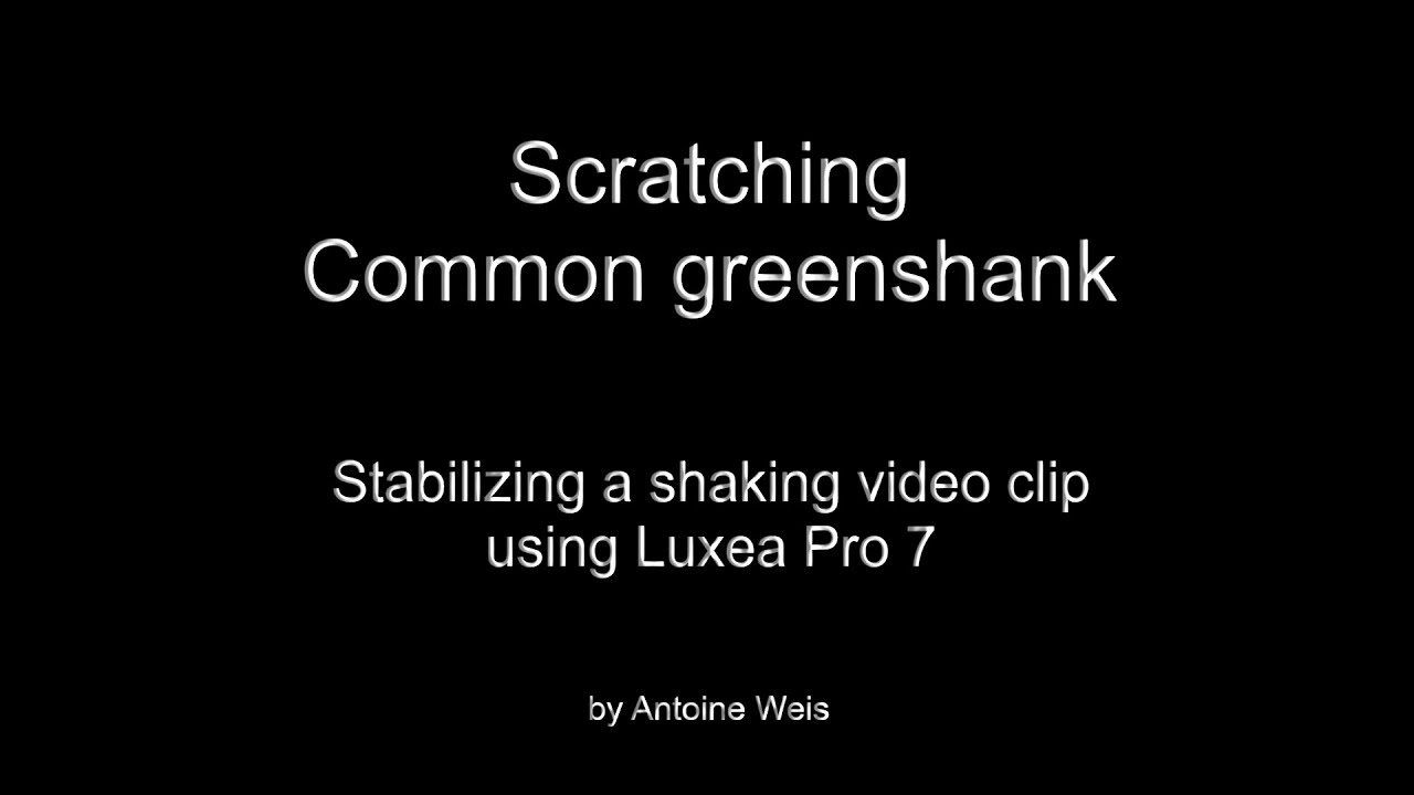 Video stabilization with Luxea Pro 7 - YouTube
