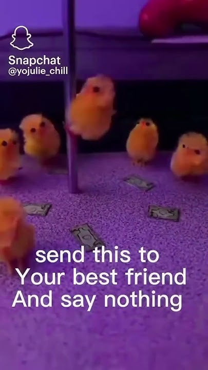 Why did this make me laugh? - YouTube