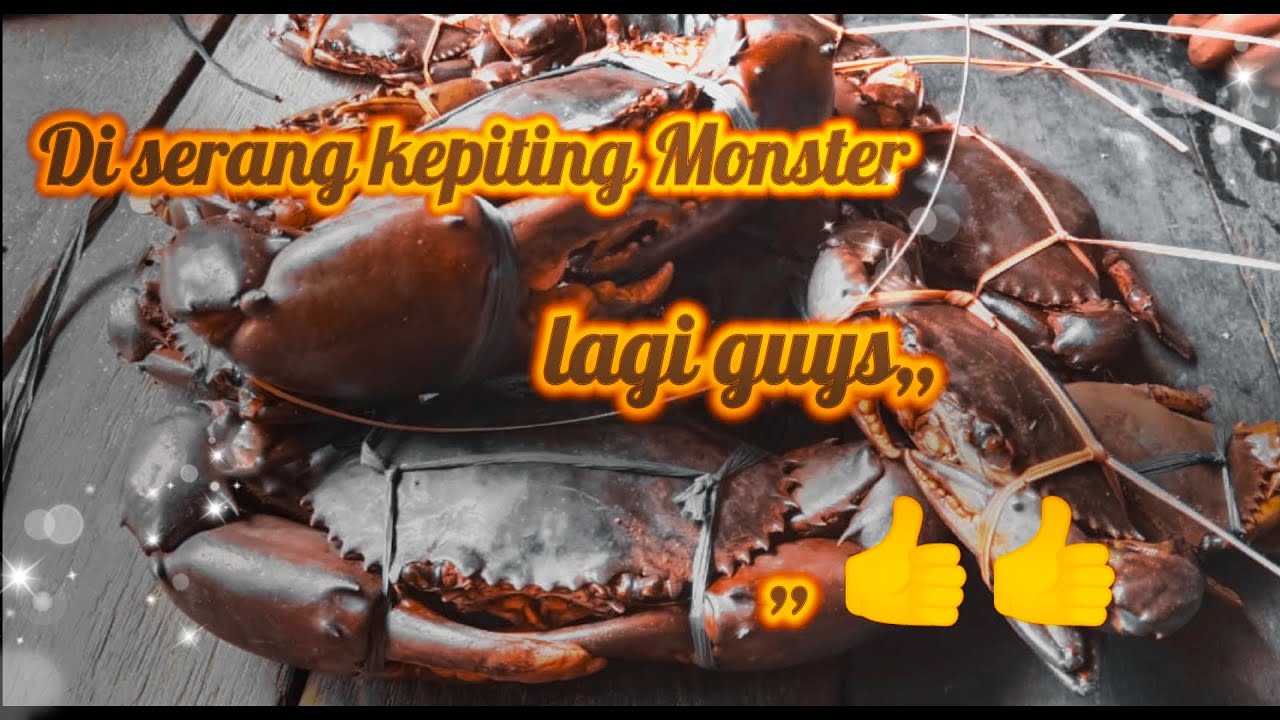 Terperangkap Kepiting Monster sungai nipah !!! - YouTube