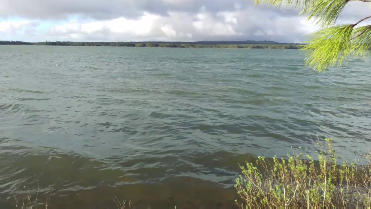 Beauty of Mare aux Vacoas #Mauritius #lake #reservoir #Maurice # ...