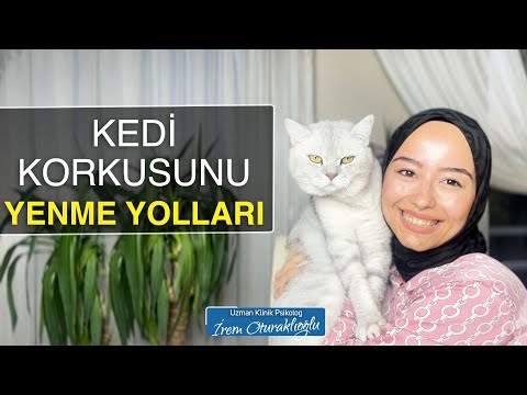 Kedi Korkusundan Kurtulun! | Psikolog İrem Oturaklıoğlu Kaya