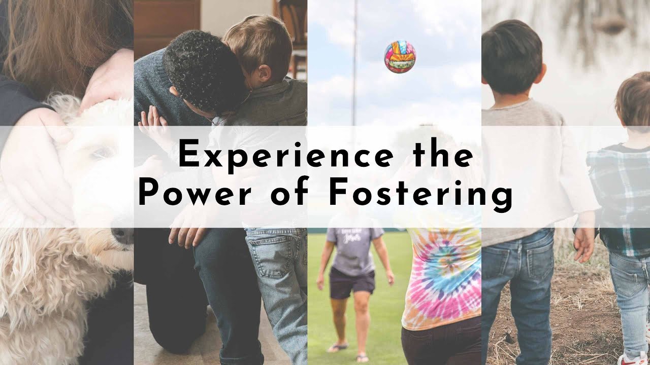 Experience the Power of Fostering - YouTube