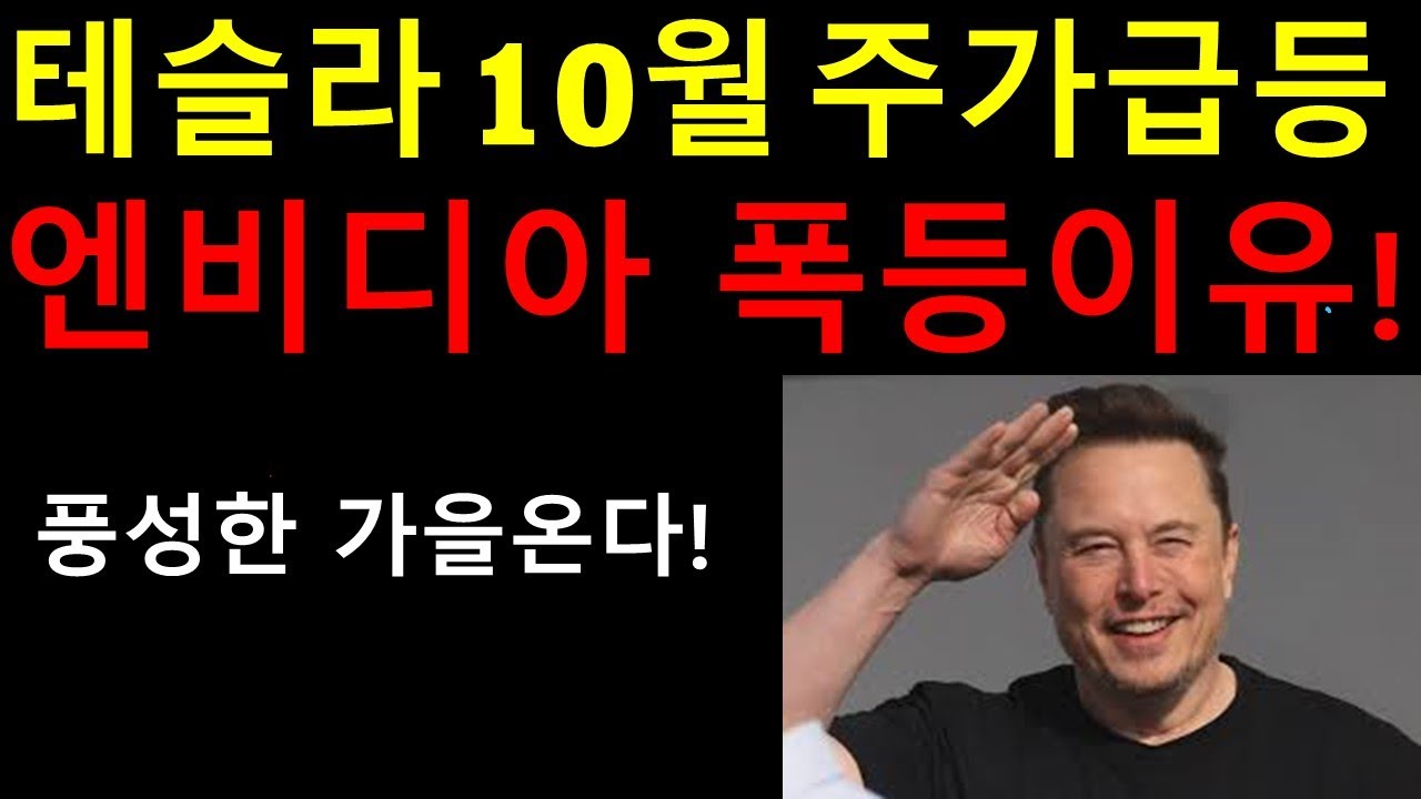 테슬라 10월 주가 급등하나 엔비디아 폭등이유 머스크 10월10일 직접 언급한 내용은 테슬라 역사적인 터닝포인트가 온다