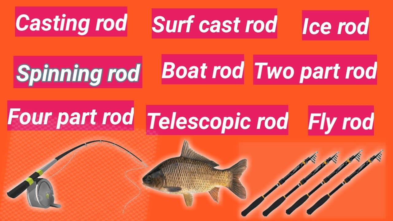 Fishing rod all details | all details of fishing rod | mach dhorar chip ...
