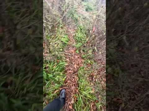 Huzura giden patika yol #trabzon #maçka #livera #huzur #köy #tulum #kemençe #mezere #dağlar #keşfet